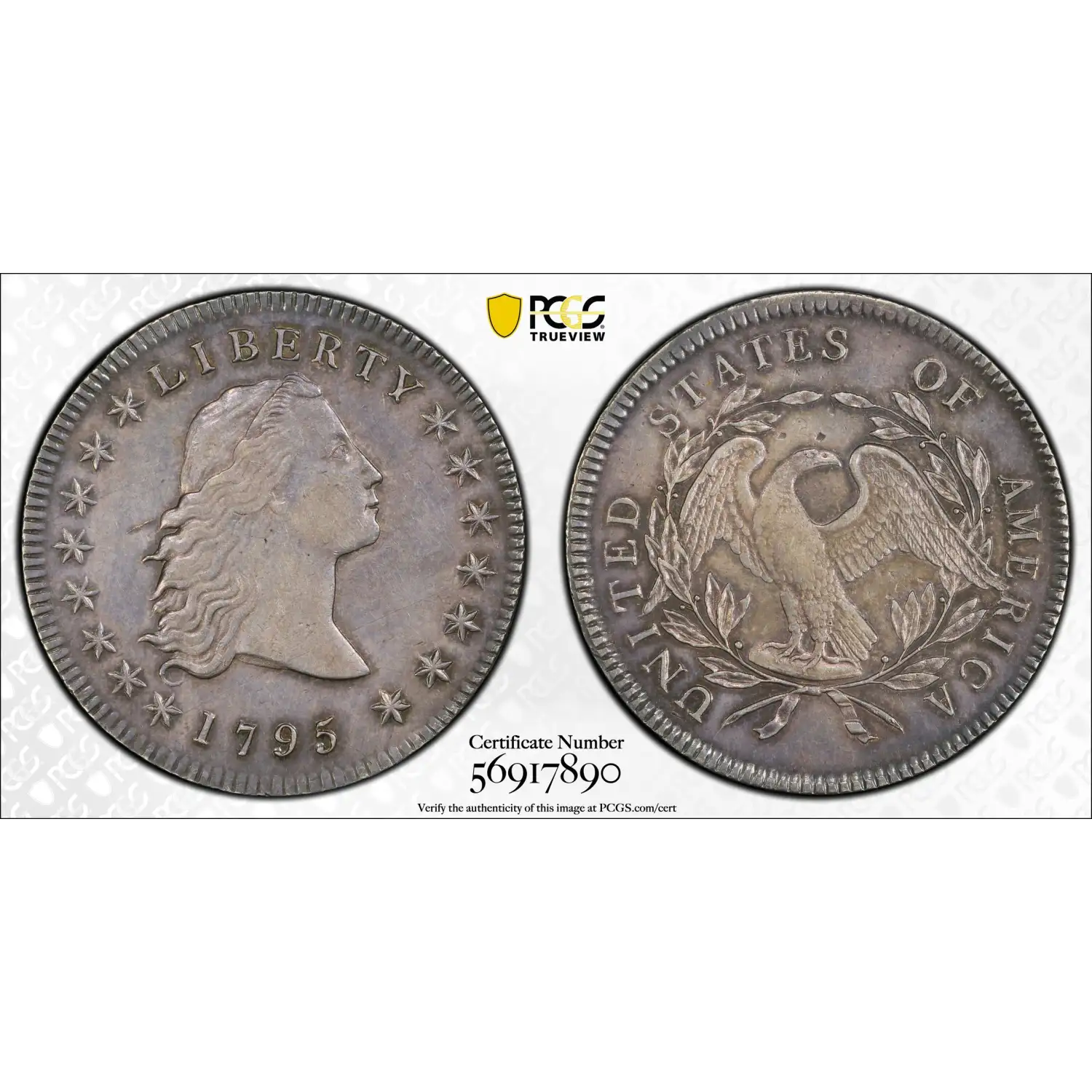 1795 $1 Flowing Hair Silver Dollar PCGS AU-55 BB-27, 3 Leaves - AU ...